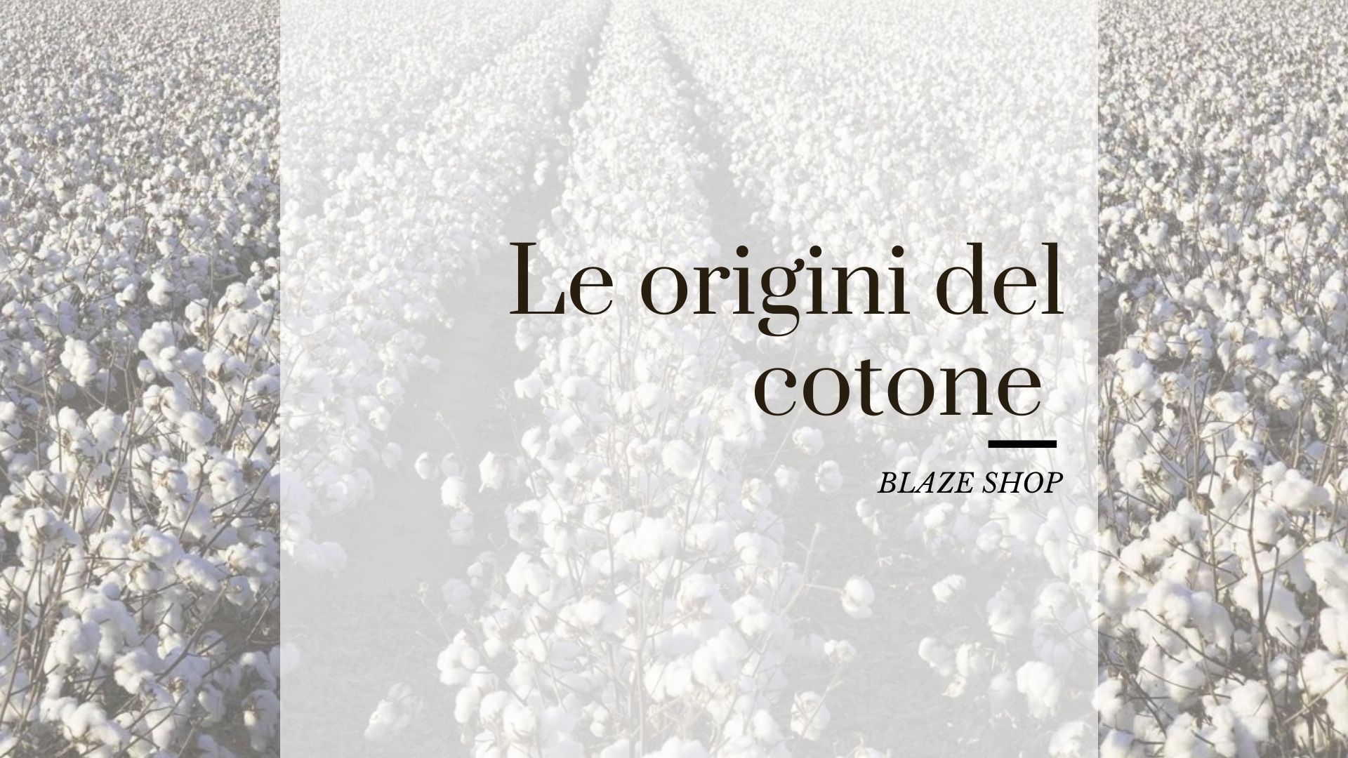 Il cotone, un materiale unico, pregiato, scopri la sua storia